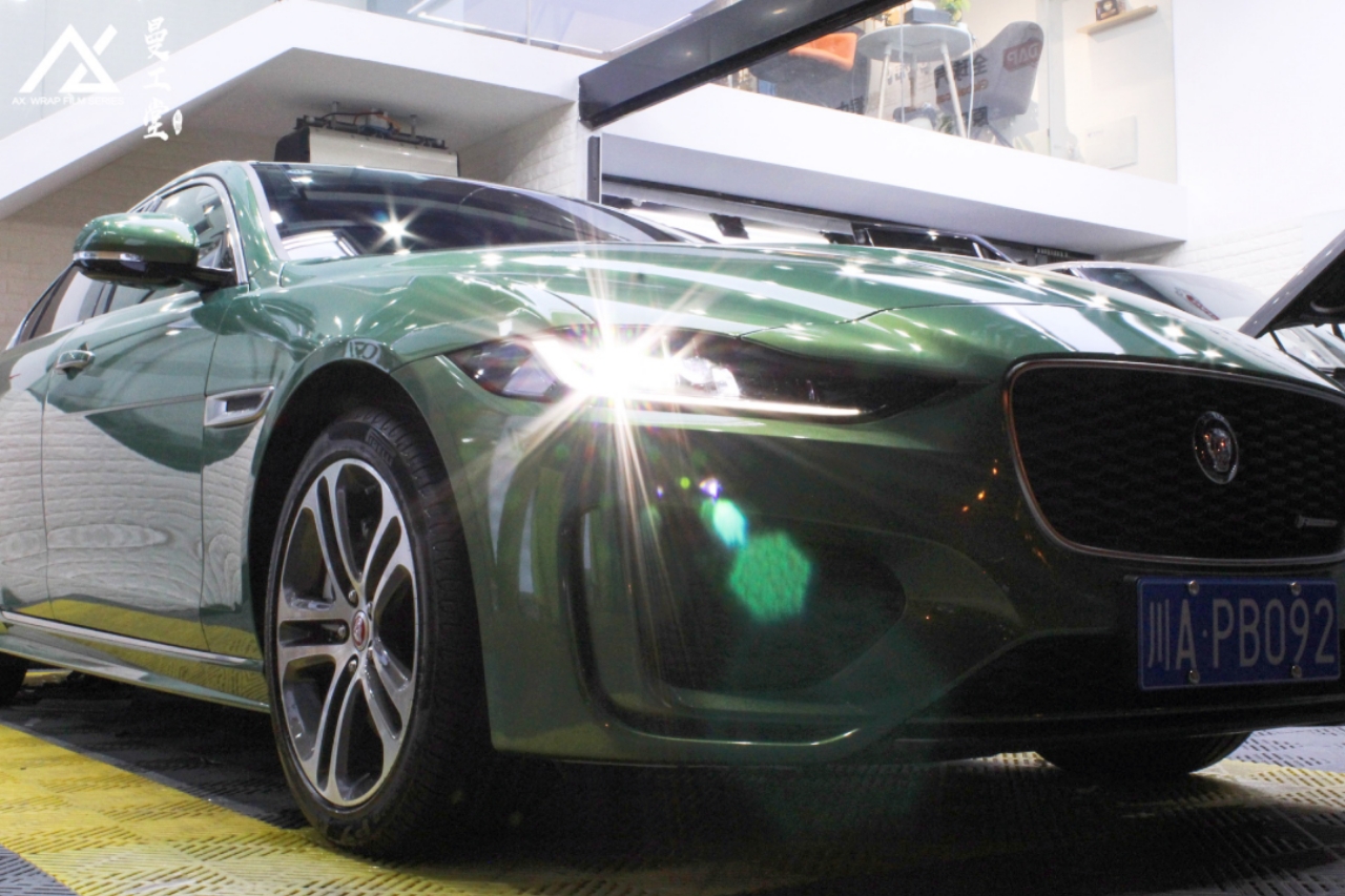 捷豹｜AX-PET虹彩祖母绿