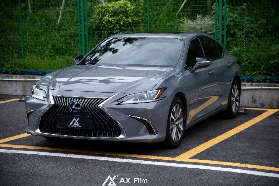 雷克萨斯｜AX-PET贝尔尼纳灰