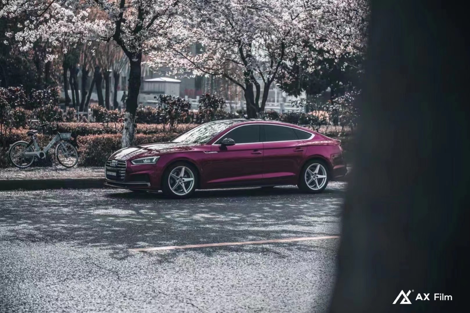 奥迪A5 | AX-浆果紫