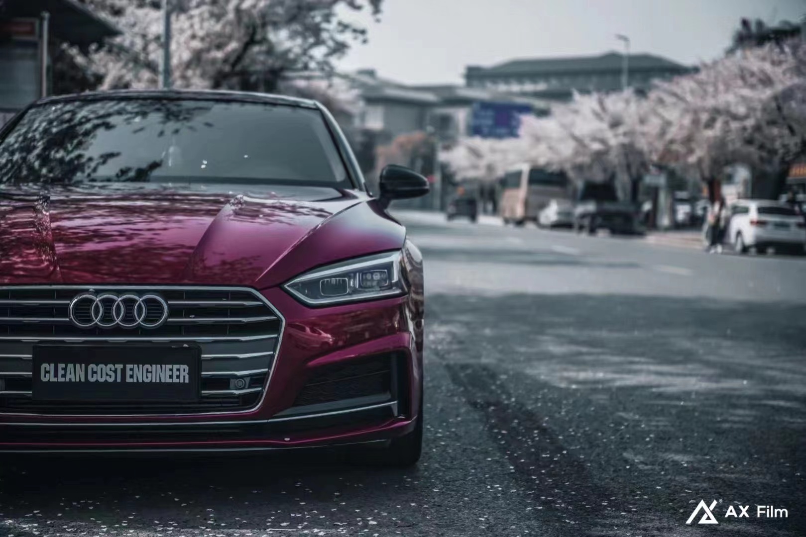 奥迪A5 | AX-浆果紫