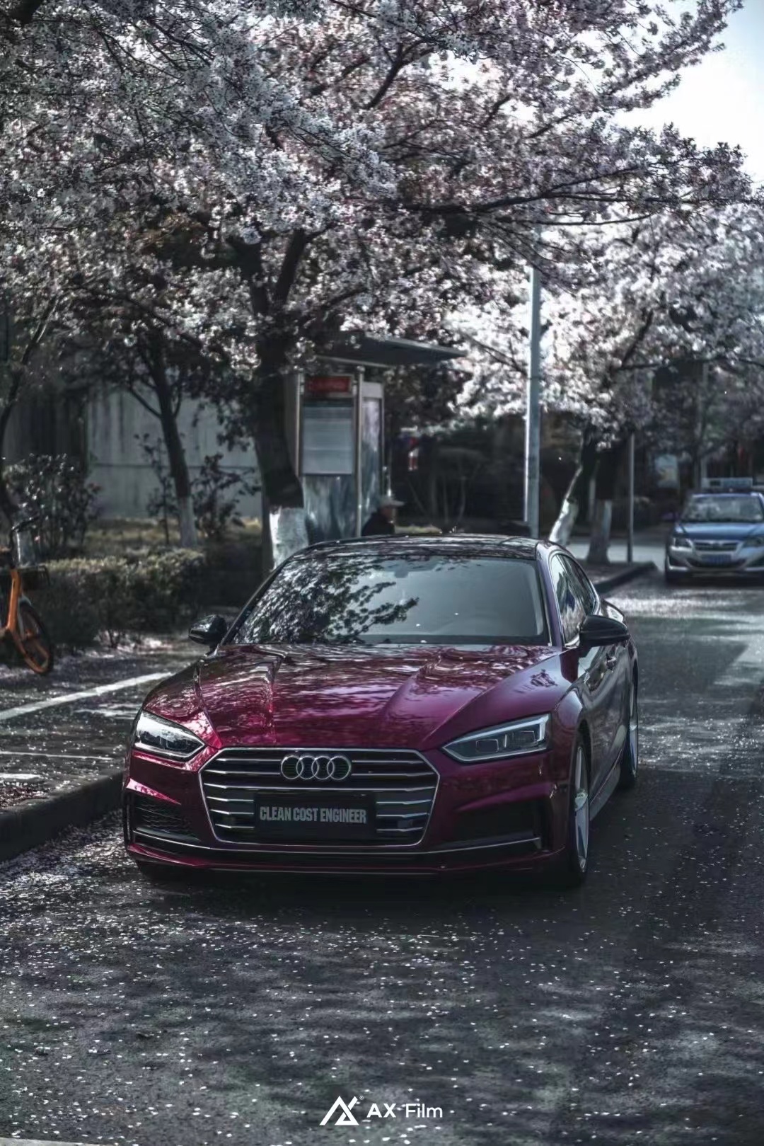 奥迪A5 | AX-浆果紫