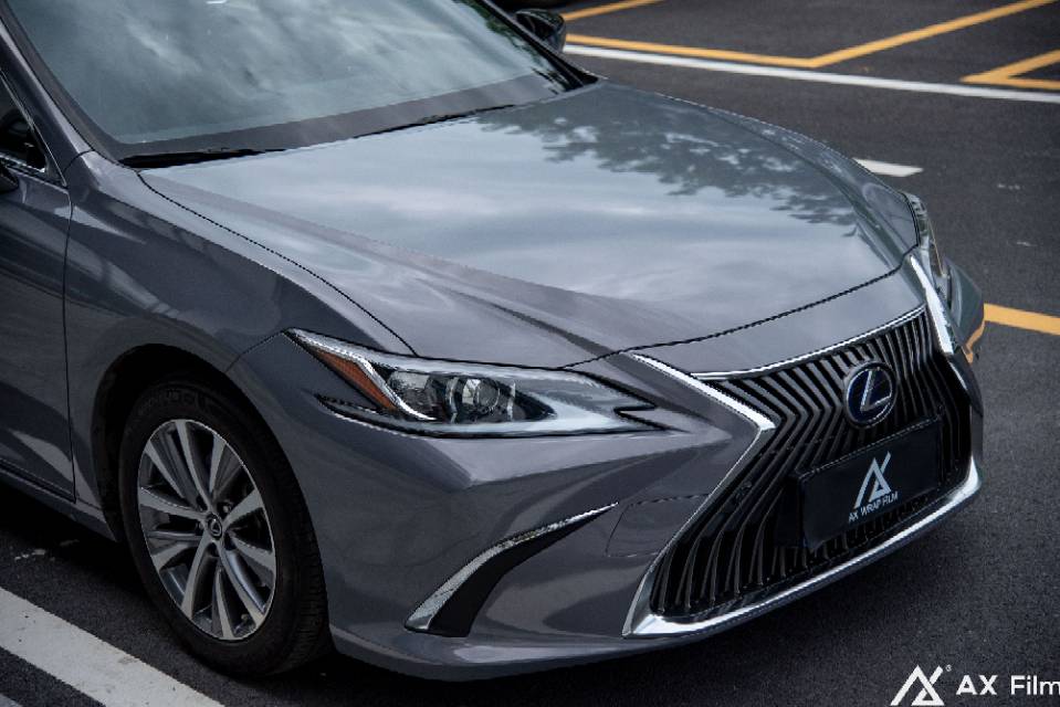 雷克萨斯｜AX-PET贝尔尼纳灰