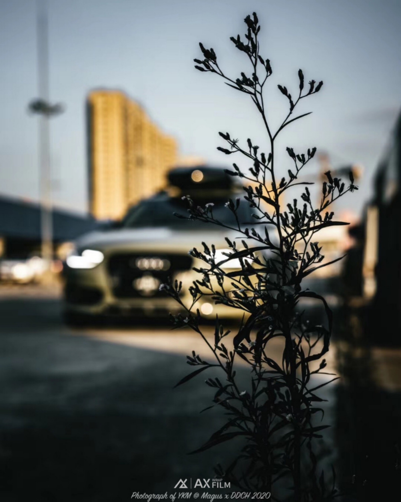 奥迪 A4｜AX-高亮卡其绿