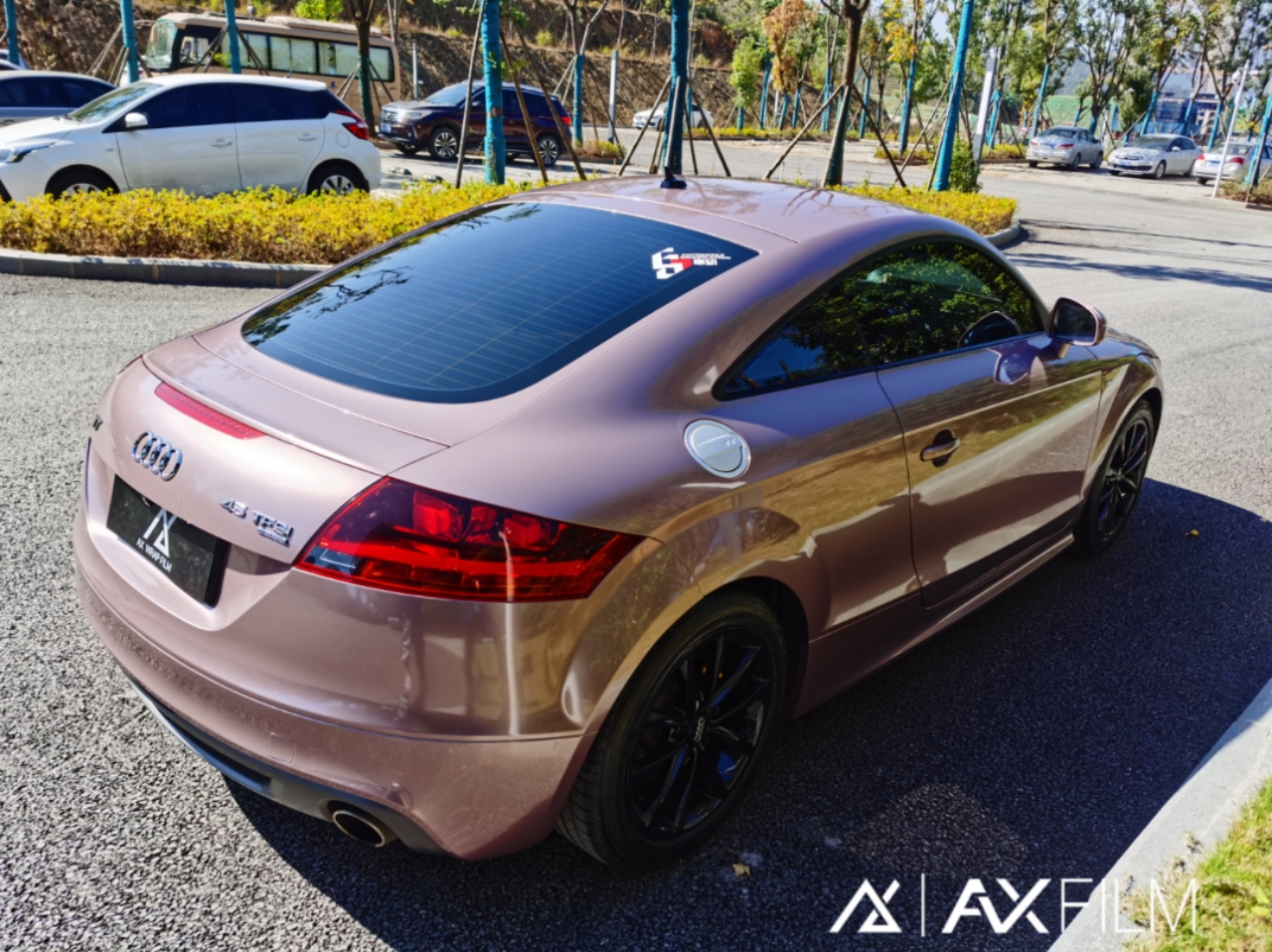 奥迪 TT｜AX-PET冰莓粉