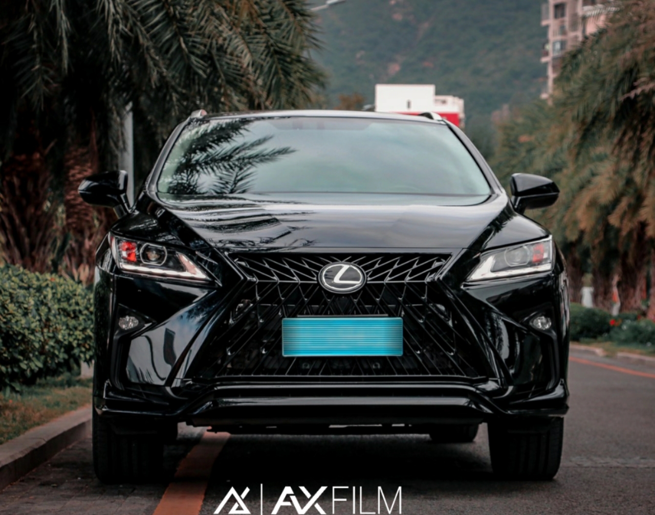 雷克萨斯 RX｜AX-PET钢琴黑