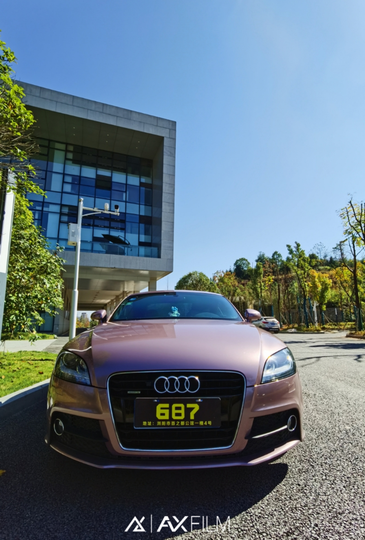 奥迪 TT｜AX-PET冰莓粉