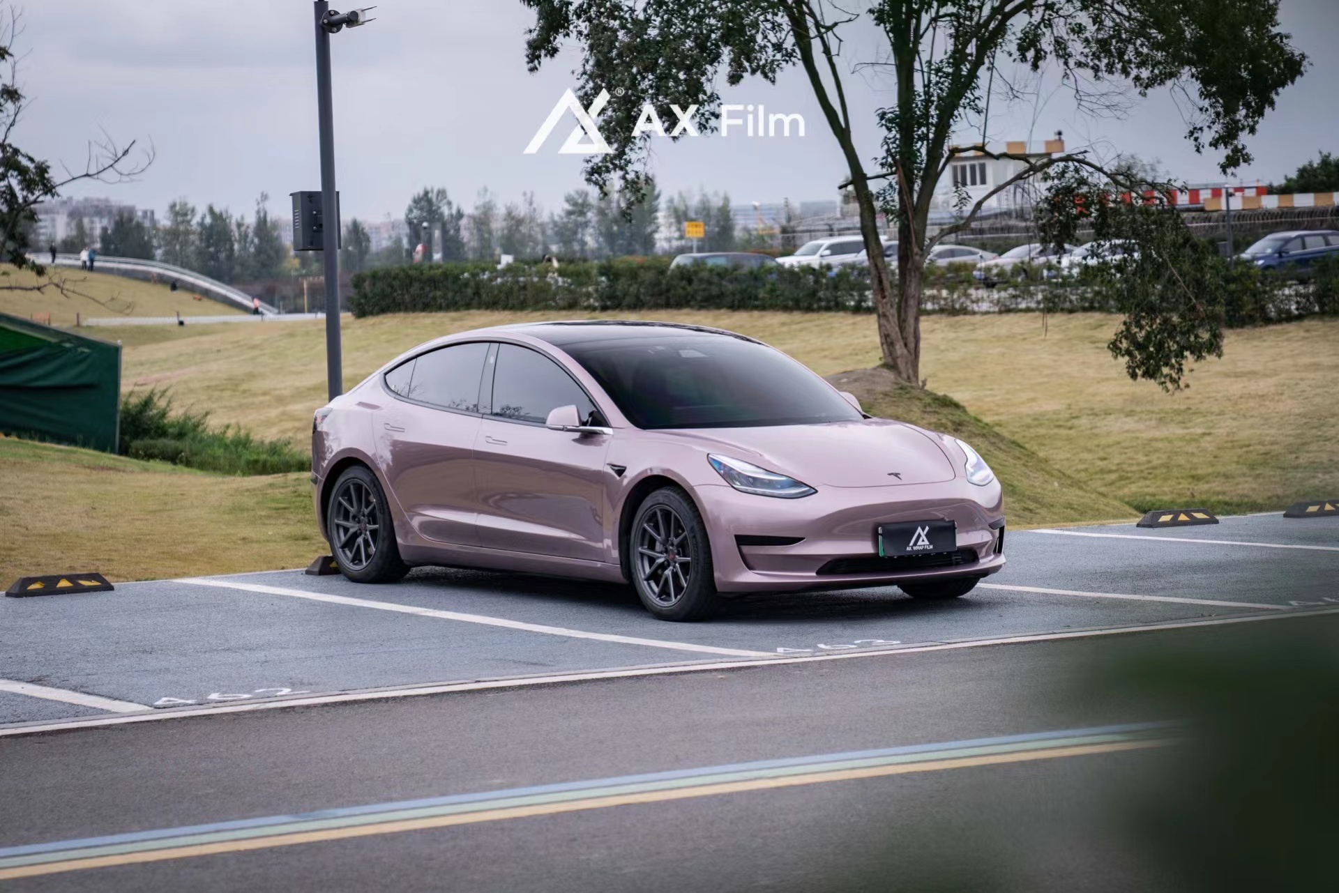 特斯拉model 3 | AX-冰莓粉