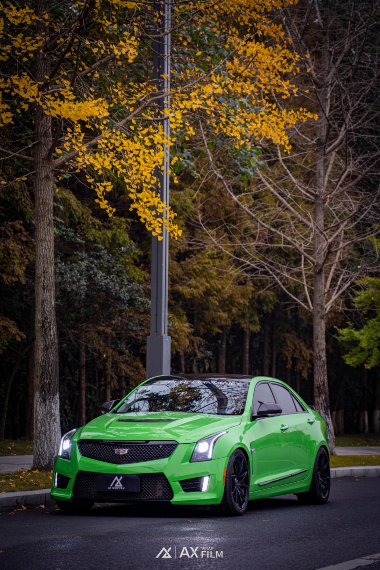 凯迪拉克 ATS｜AX-PET蝰蛇绿