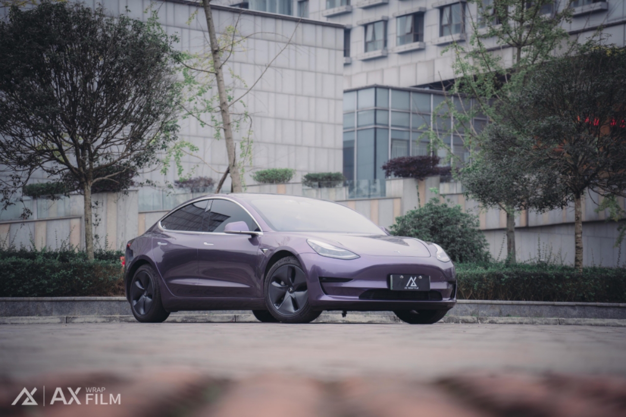 特斯拉 Model3｜AX-PET灰紫罗兰